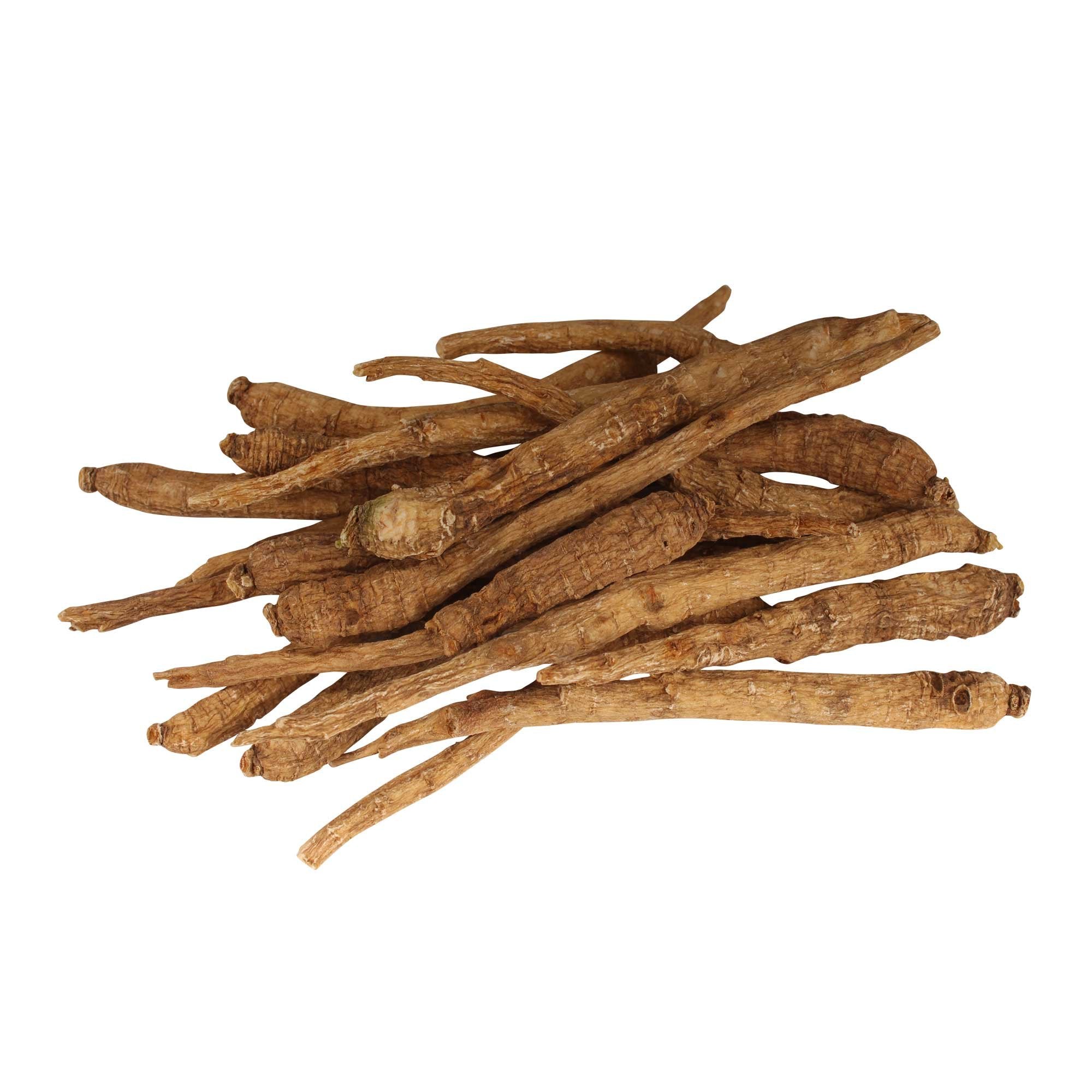 premium quality red ginseng root