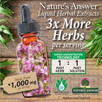 premium quality Schisandra herbal remedy