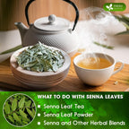 premium quality senna herbal tea