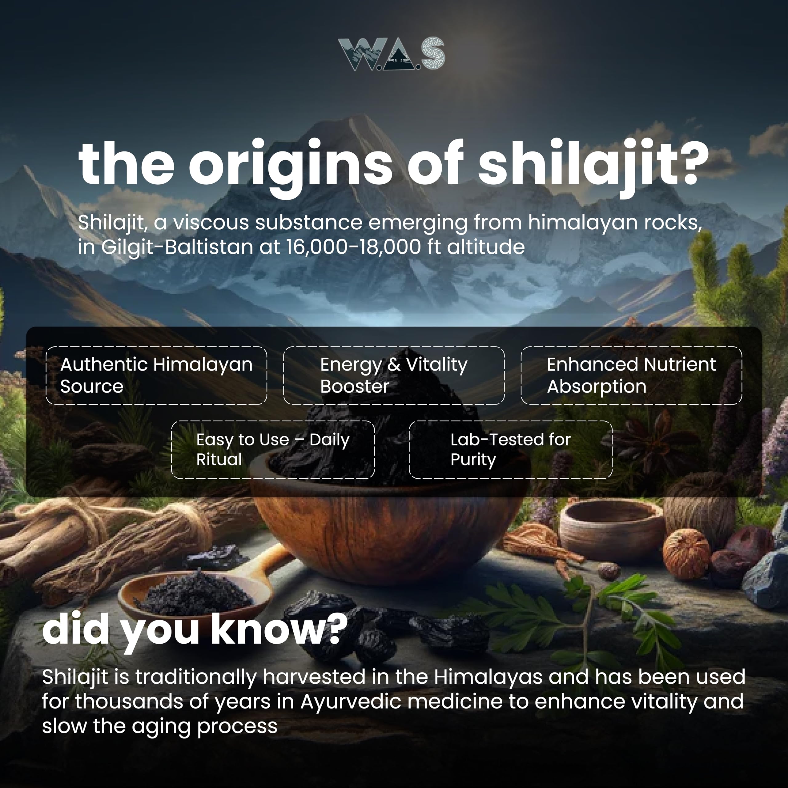 premium quality shilajit extract