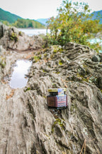 premium quality shilajit resin 100 grams