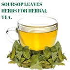 premium quality soursop herbal infusion