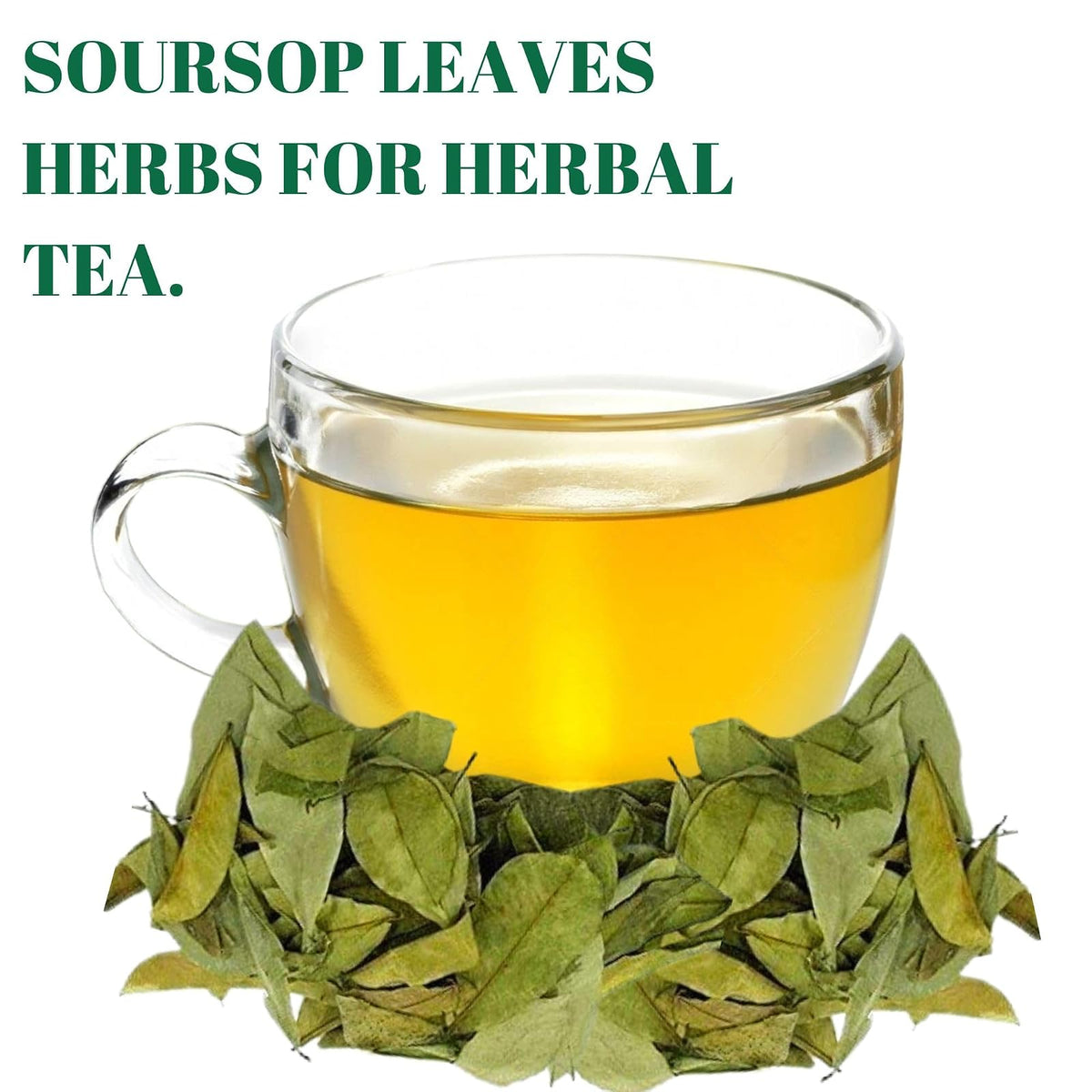 premium quality soursop herbal infusion