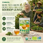 premium quality soursop tea bags