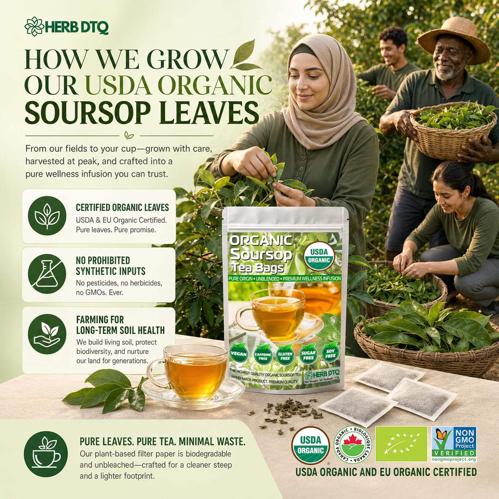 premium quality soursop tea bags