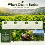 premium quality soursop tea