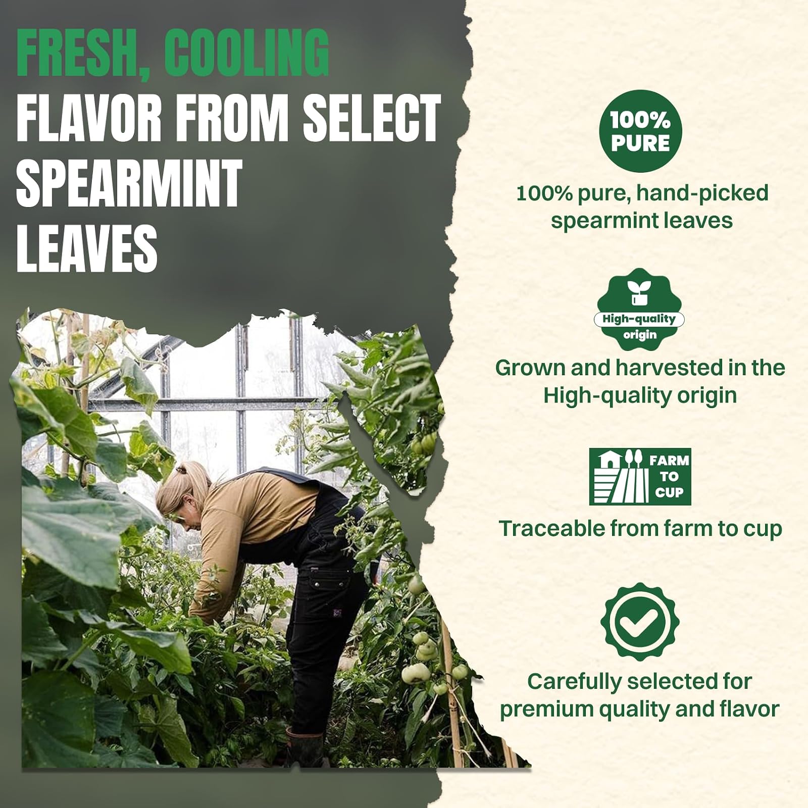 premium quality spearmint tea bags
