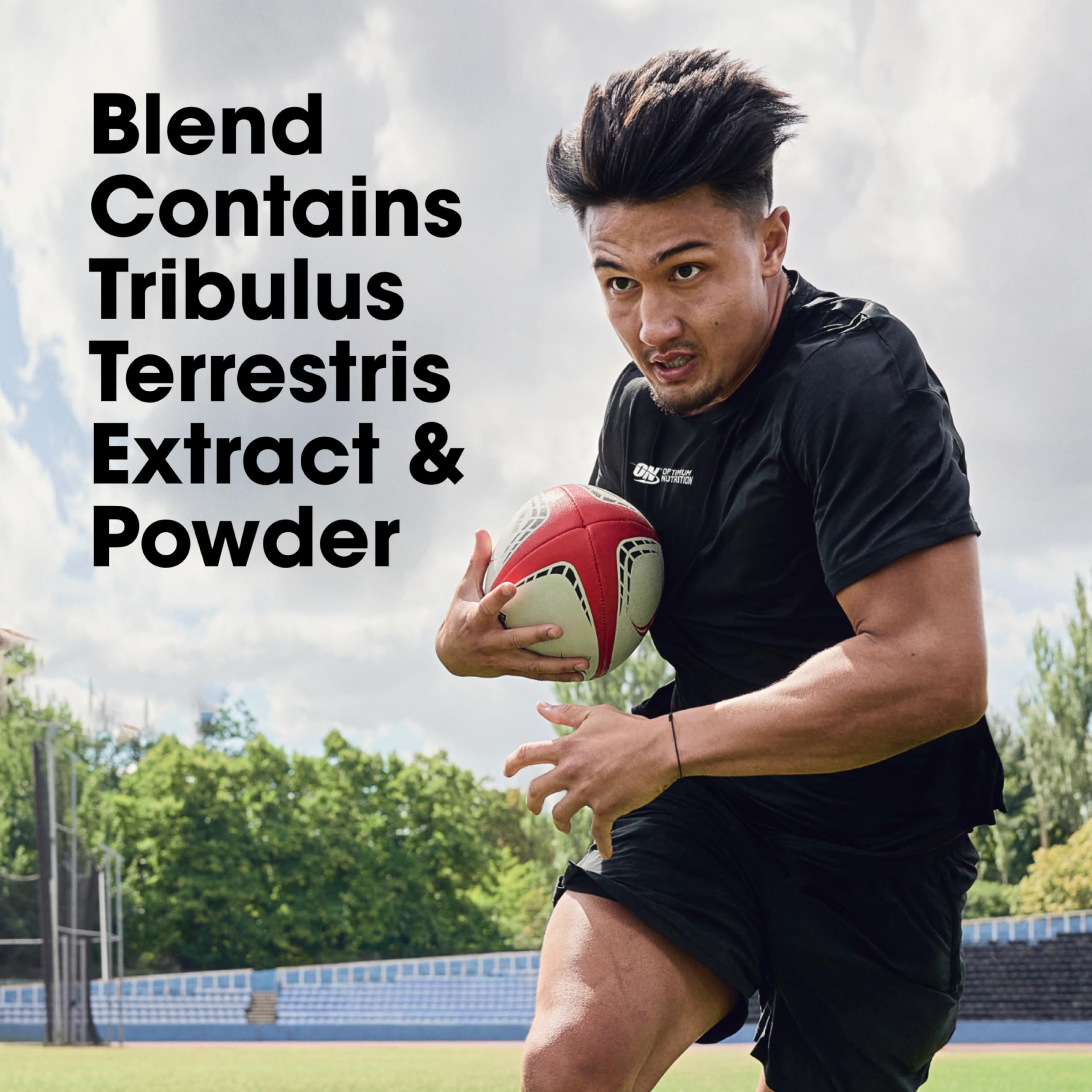 premium quality tribulus extract