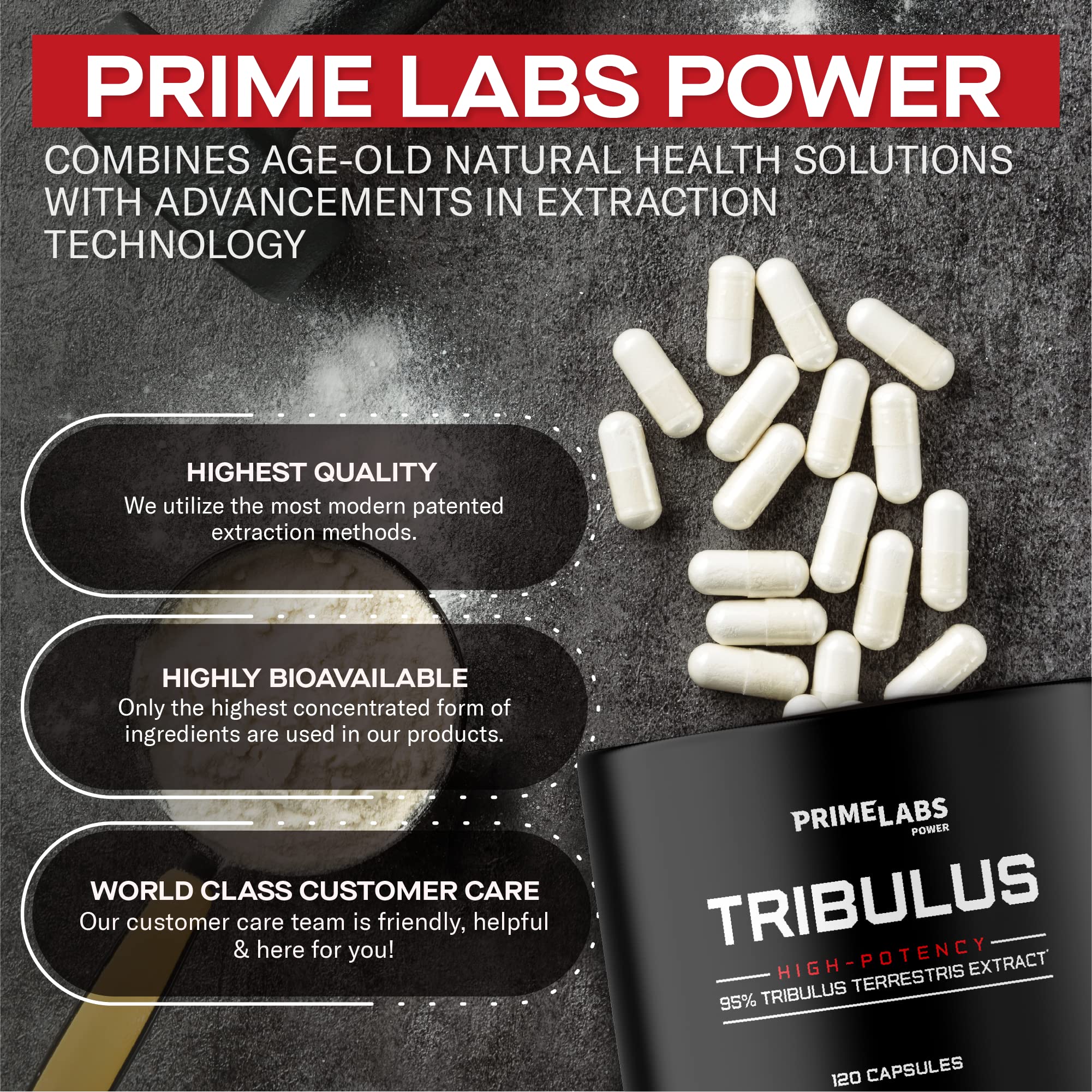 premium quality tribulus terrestris capsules