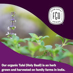 premium quality tulsi herbal infusion