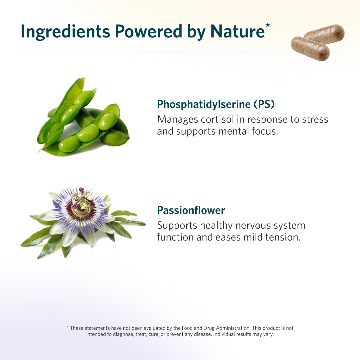 premium quality vitamin and mineral blend