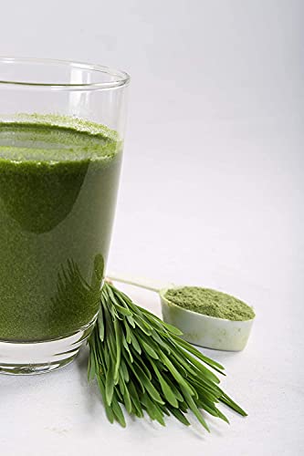 premium quality wheatgrass powder