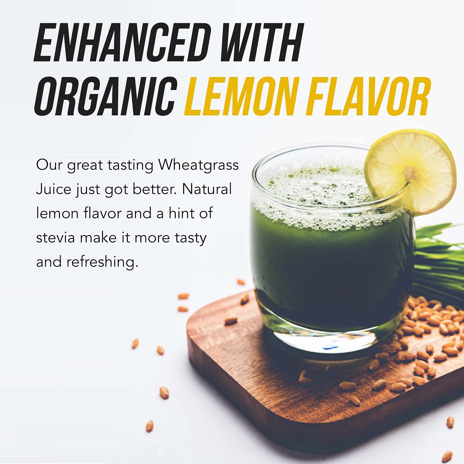premium quality wheatgrass powder