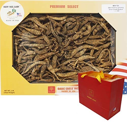premium quality wild ginseng root