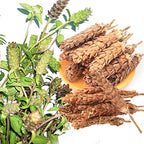 premium quality Wild Prunella Spike
