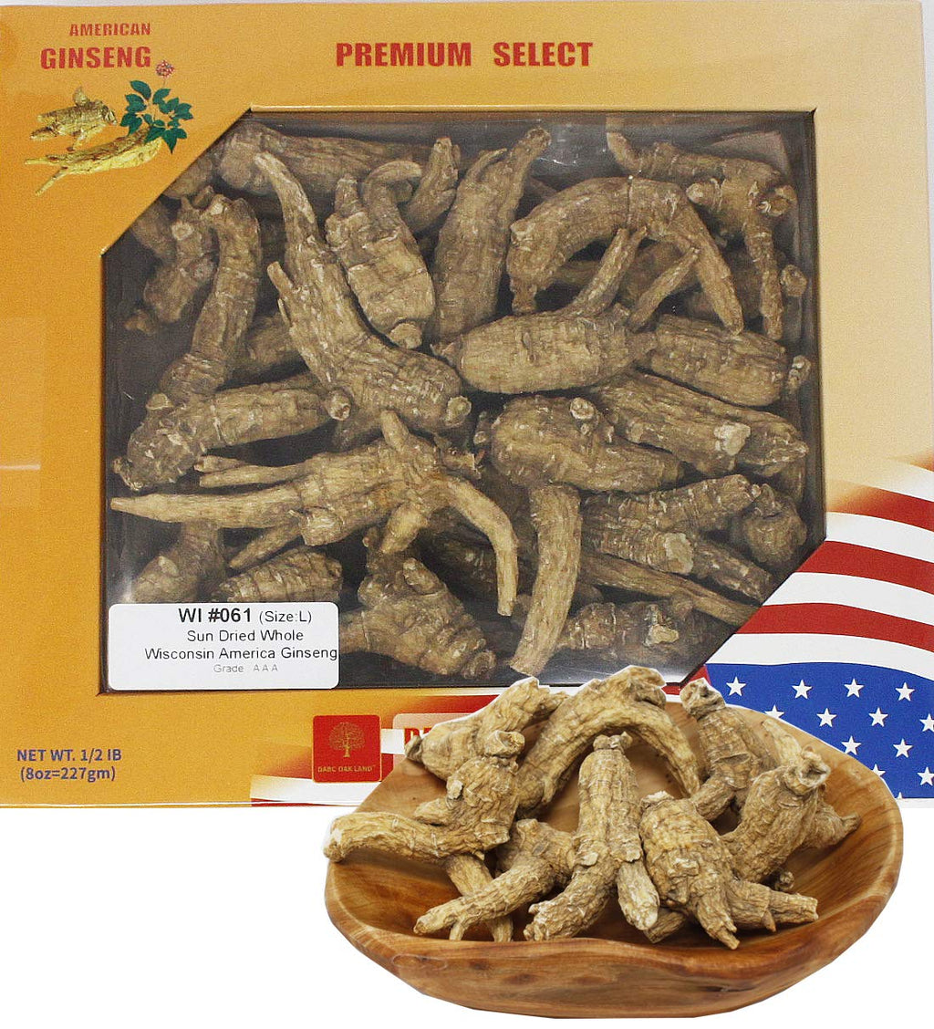 premium quality Wisconsin ginseng root