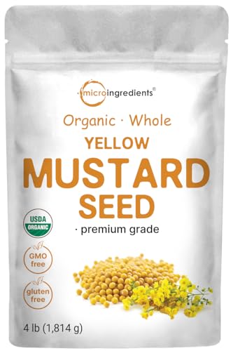 premium quality yellow mustard seeds
