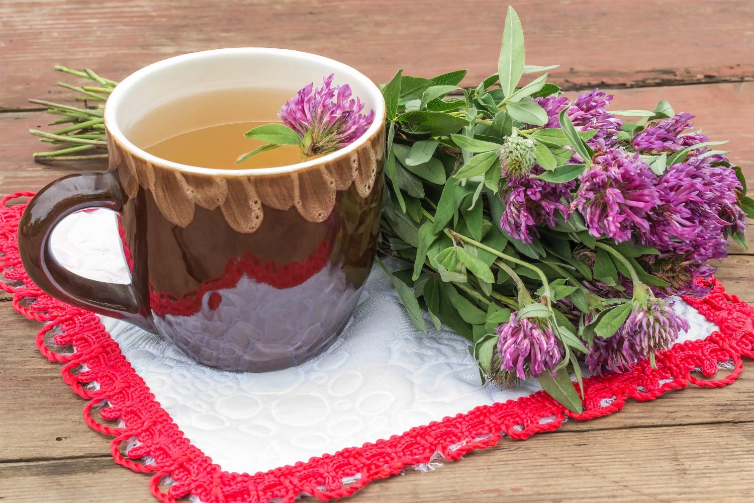 premium red clover tea benefits
