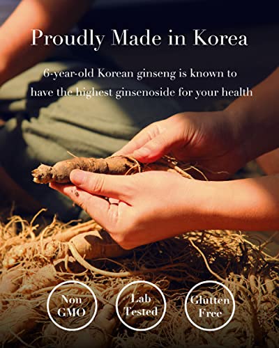 Premium red ginseng root extract
