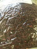 premium red yeast rice powder