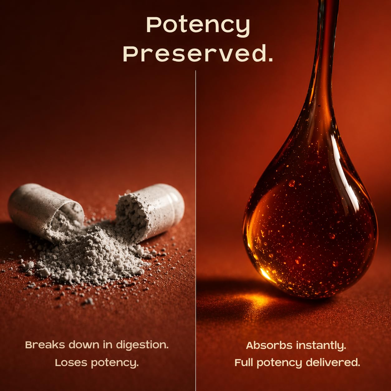 premium reishi extract for relaxation