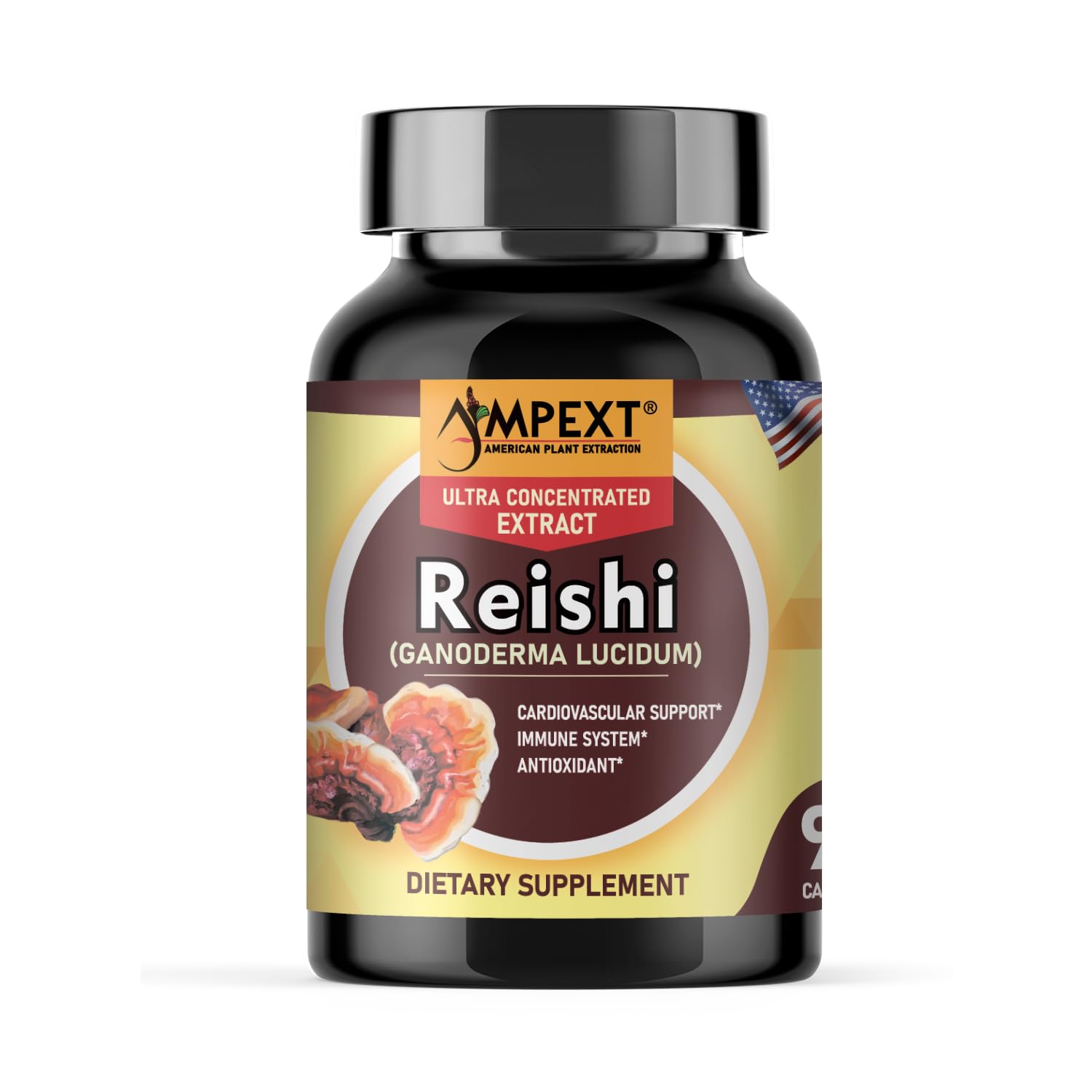 Premium Reishi mushroom extract capsules