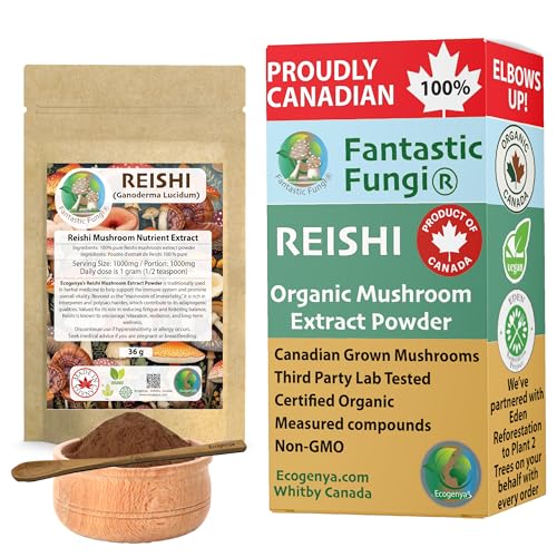 premium reishi mushroom powder
