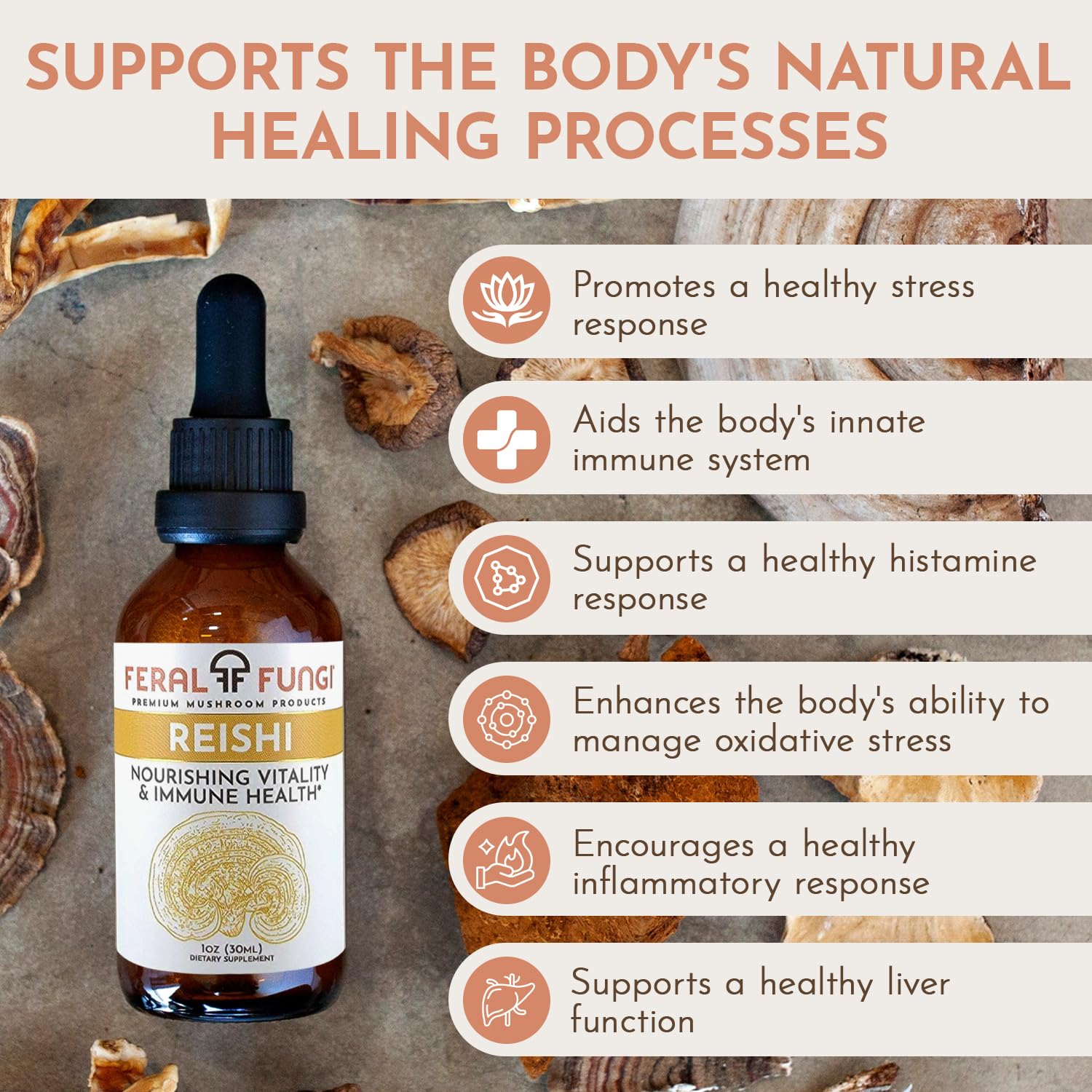 premium reishi tincture for immunity