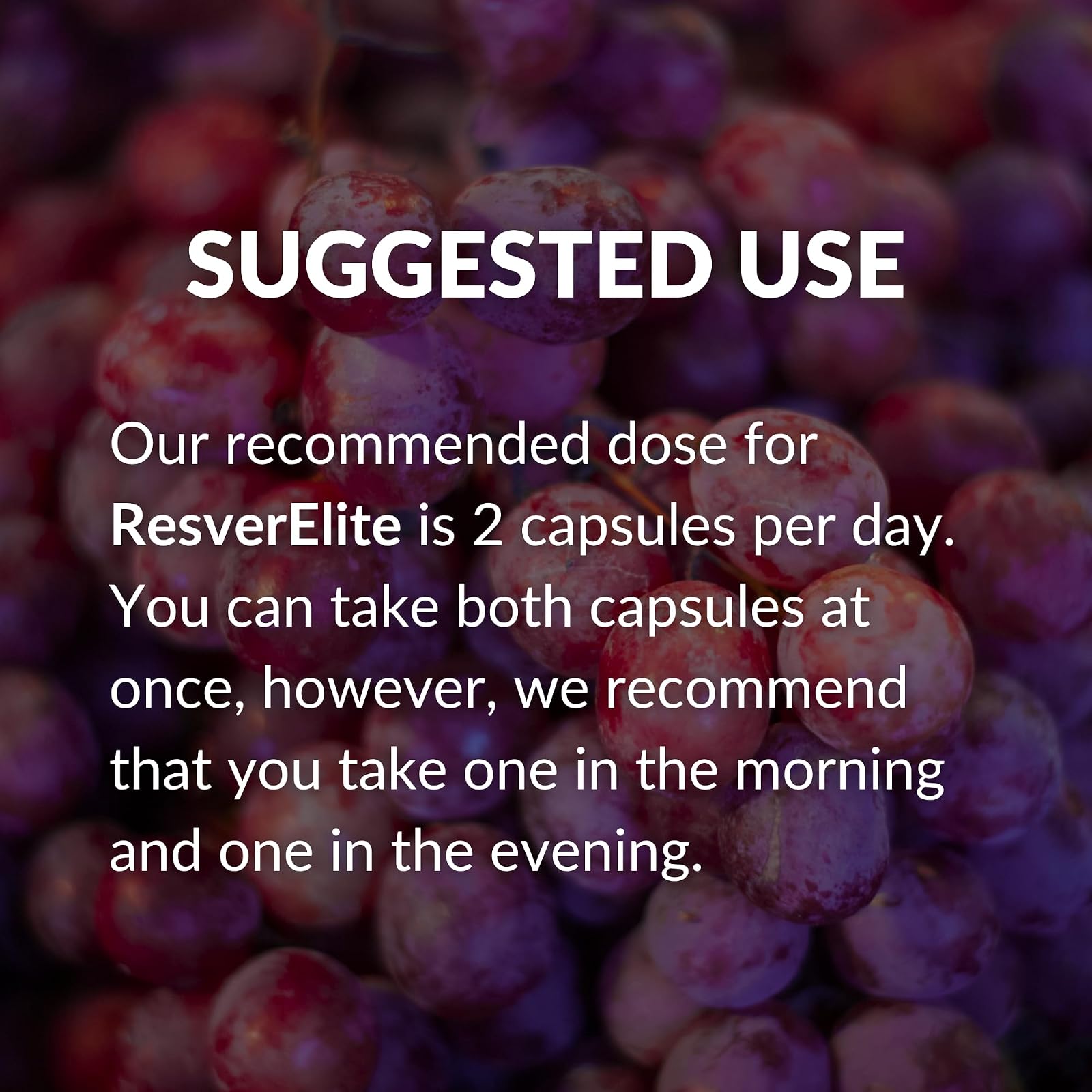 premium resveratrol for cellular protection
