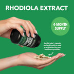 premium rhodiola rosea for overall health
