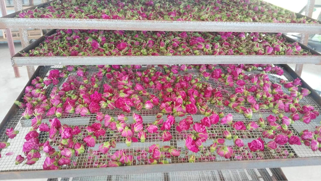 premium rose buds for wellness