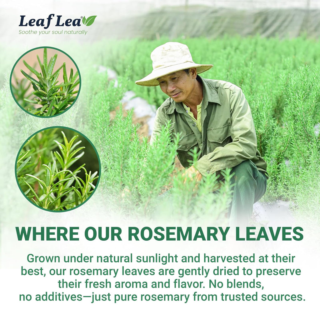 premium rosemary tea for energy