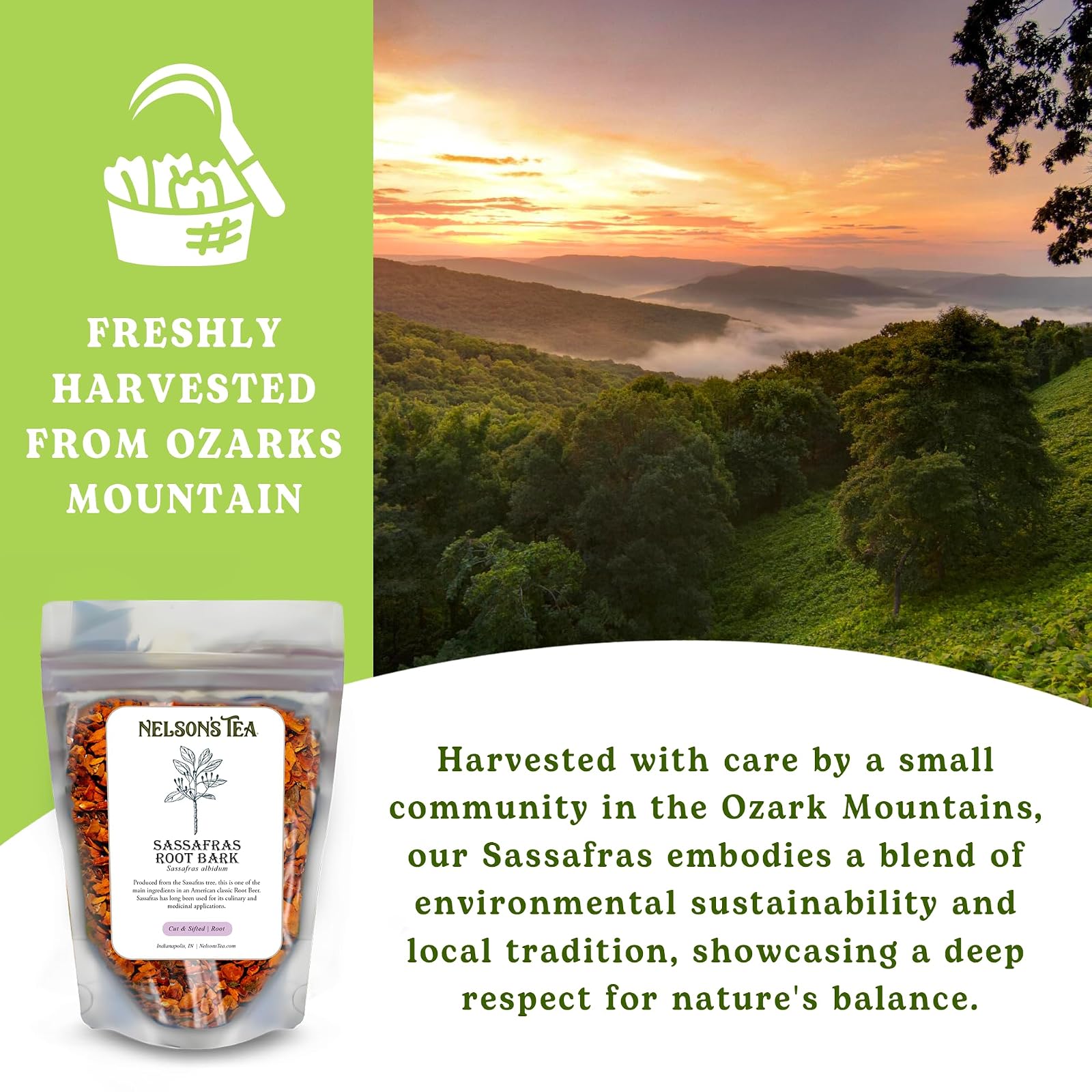 premium sassafras root bark for brewing