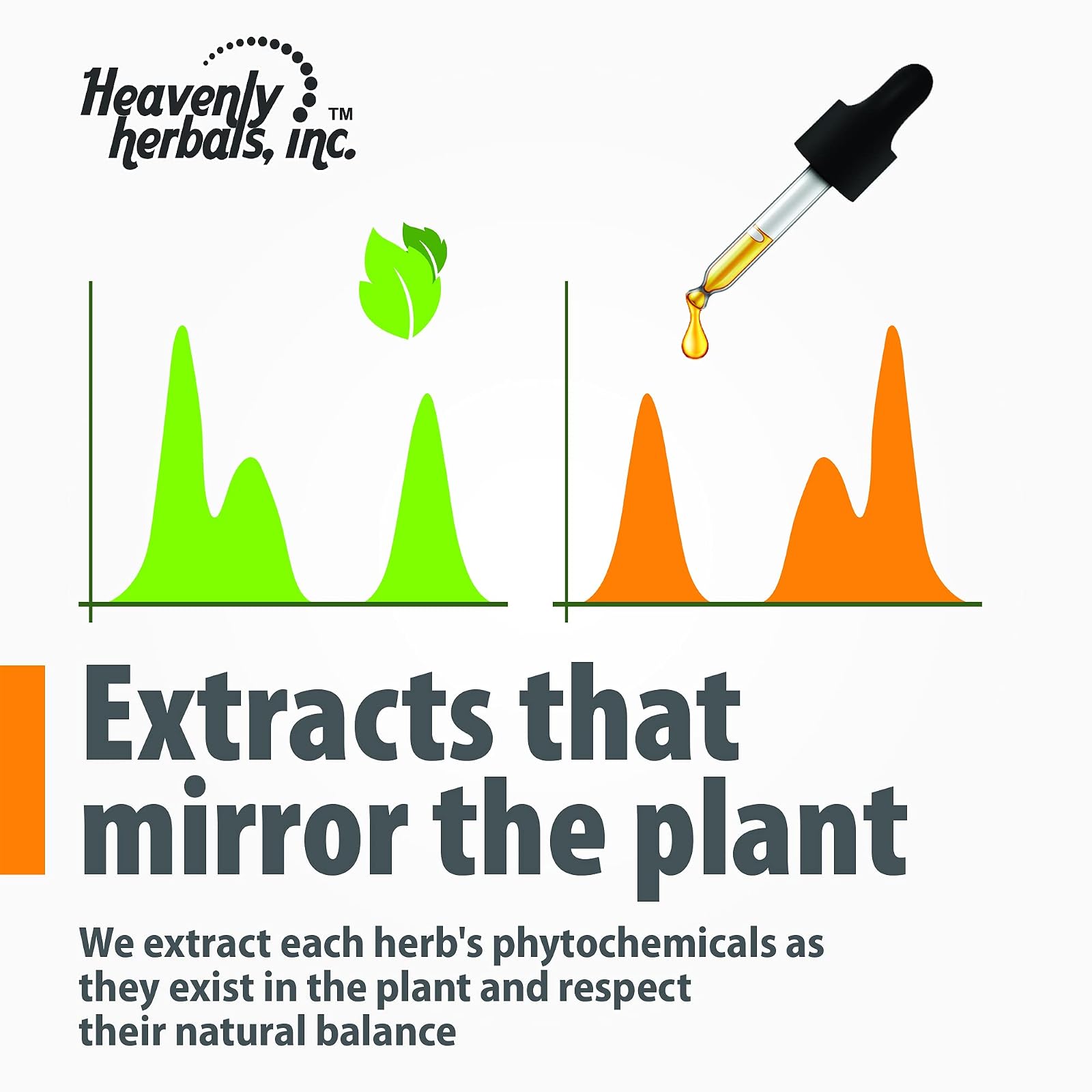 premium saw palmetto extract formula