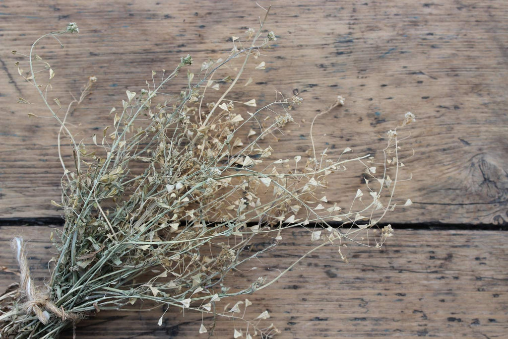 premium Shepherd's Purse herbal blend