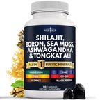 premium shilajit capsules for energy
