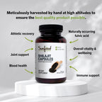 premium shilajit capsules for immunity