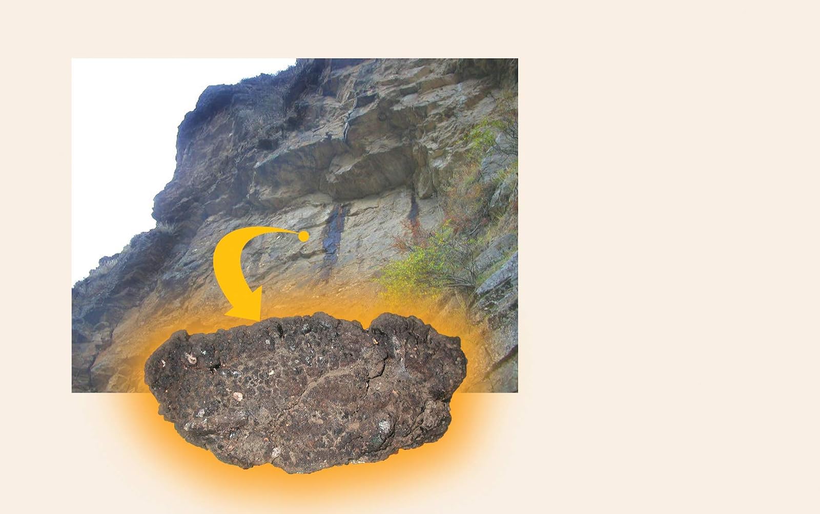 premium shilajit capsules for recovery