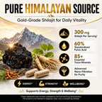 premium shilajit capsules for vitality
