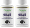 premium shilajit extract capsules