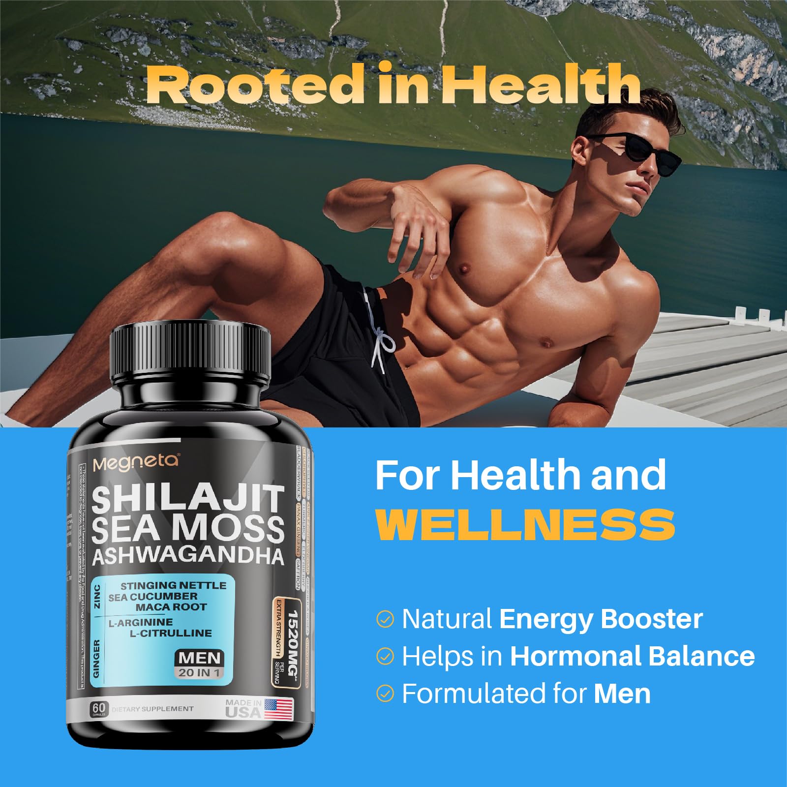 premium shilajit for daily energy