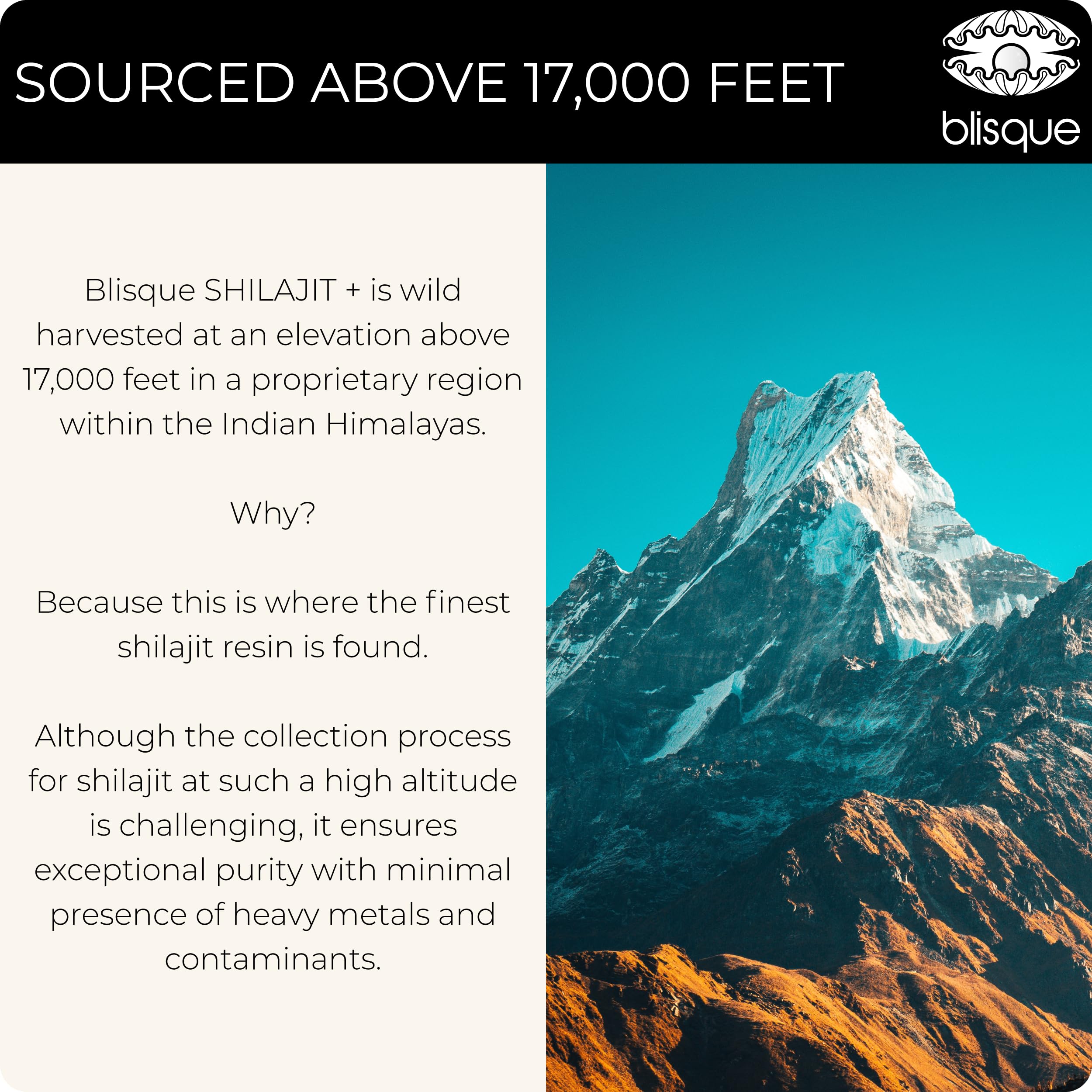premium shilajit for daily use