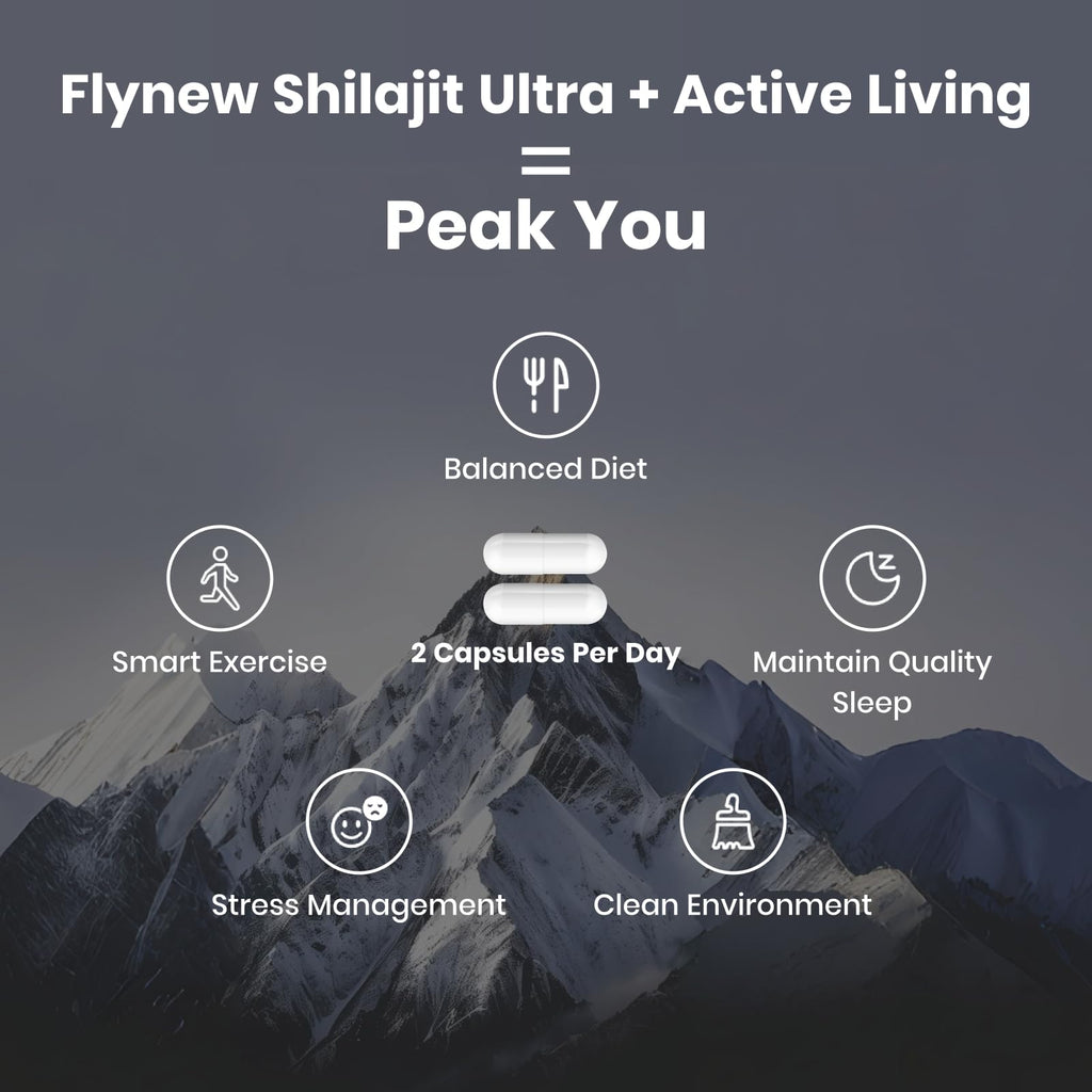 premium shilajit for daily wellness