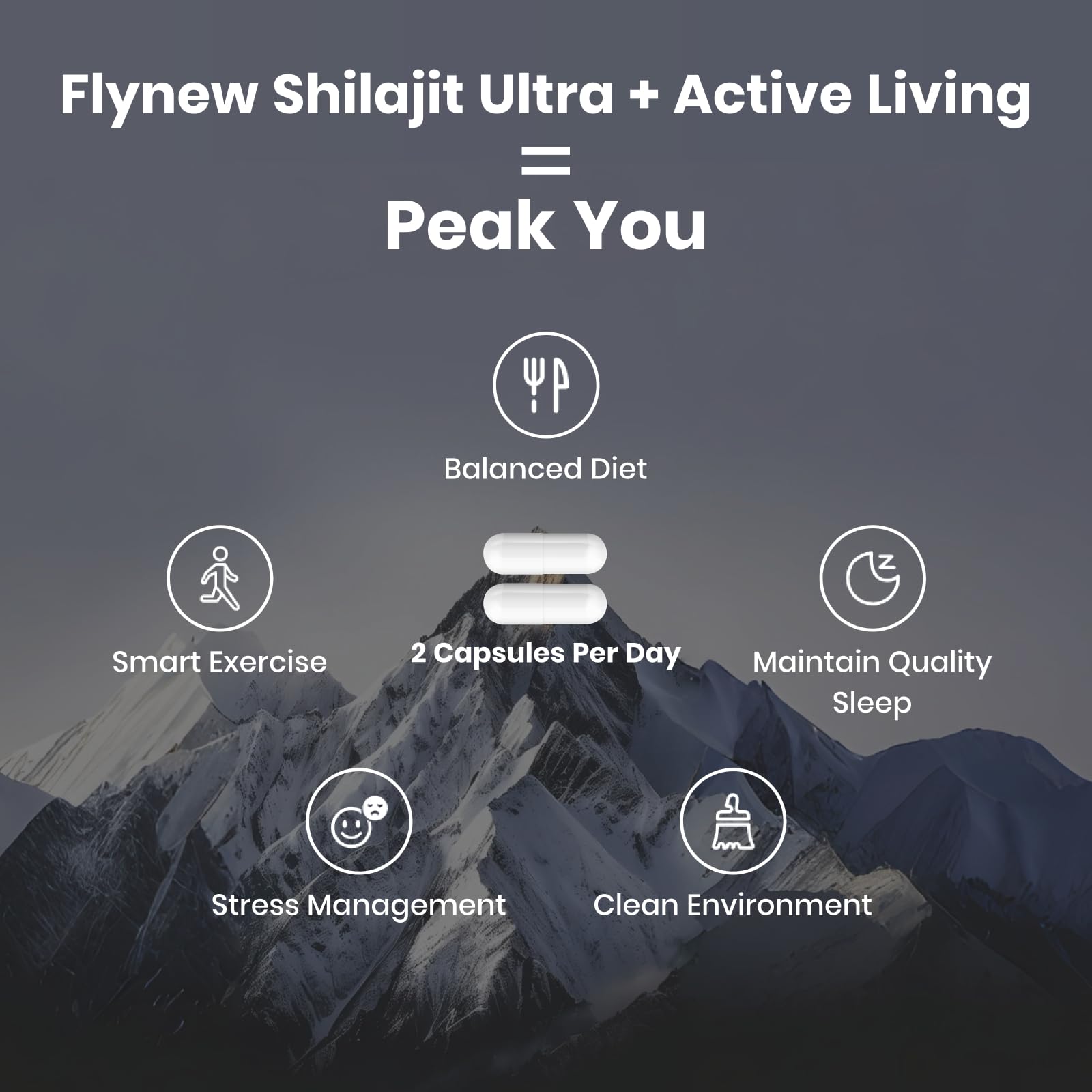 premium shilajit for daily wellness