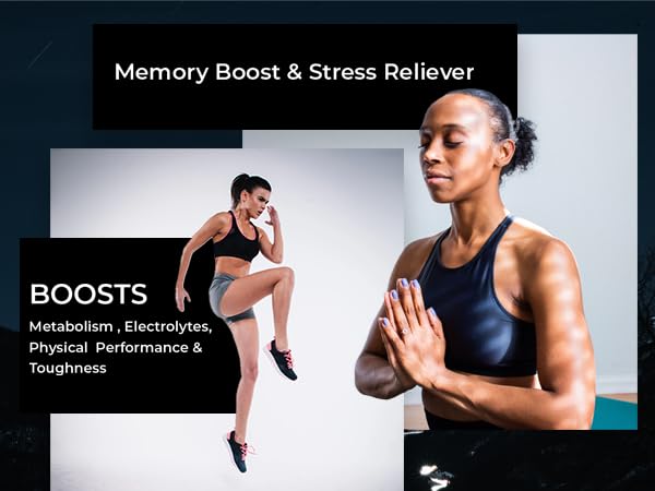 premium Shilajit for energy support