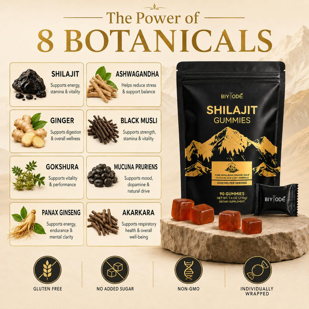 premium shilajit for enhanced focus