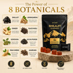 premium shilajit for enhanced focus