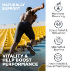 Premium shilajit for enhanced performance