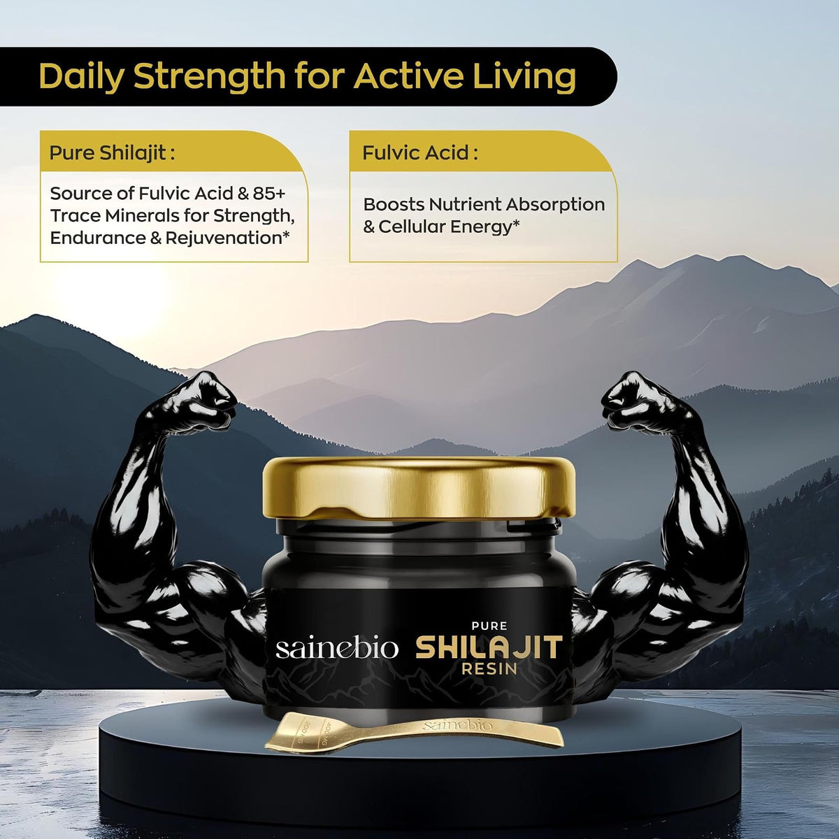 premium shilajit for enhanced wellness