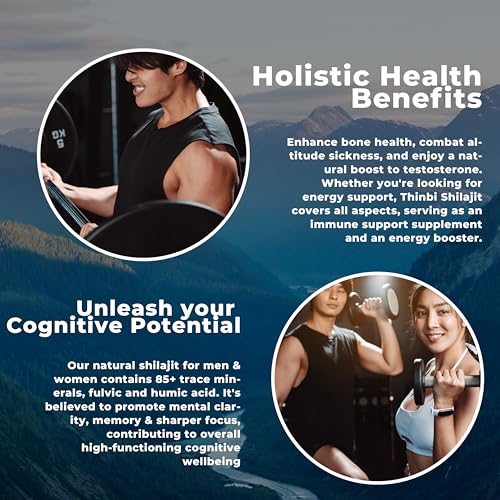 Premium Shilajit for holistic health